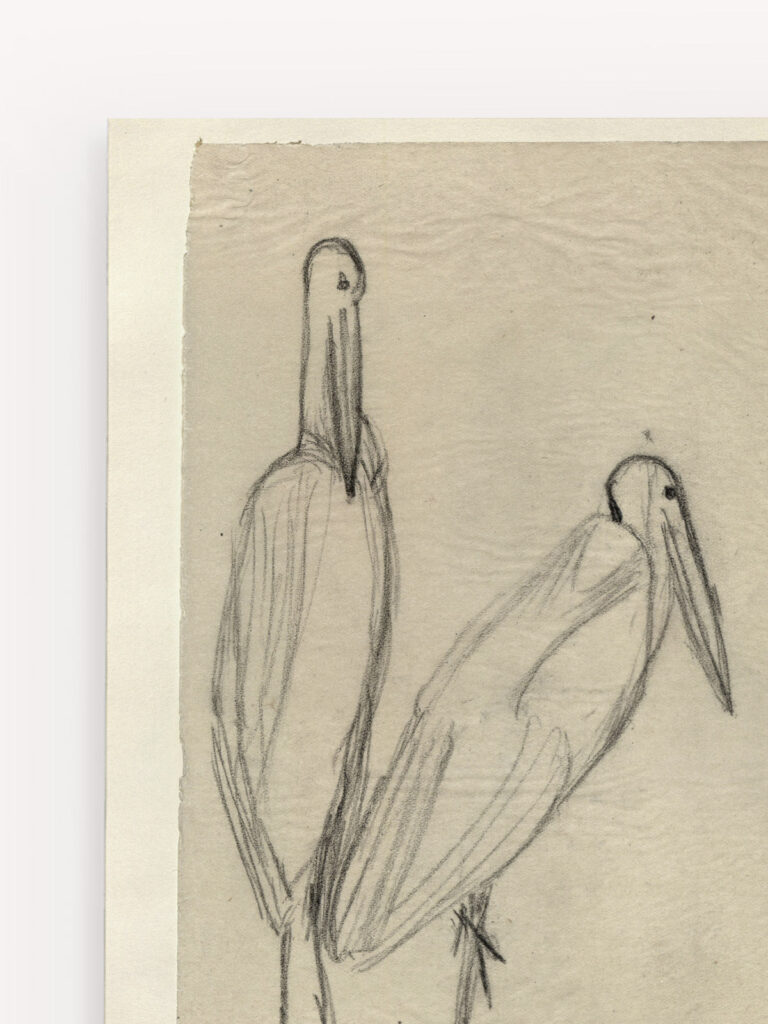 Quadro Oiseau - STICKDECOR - Realize Your Imagination